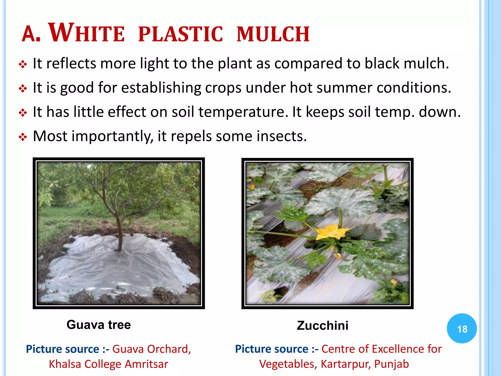 Mulching | PDF