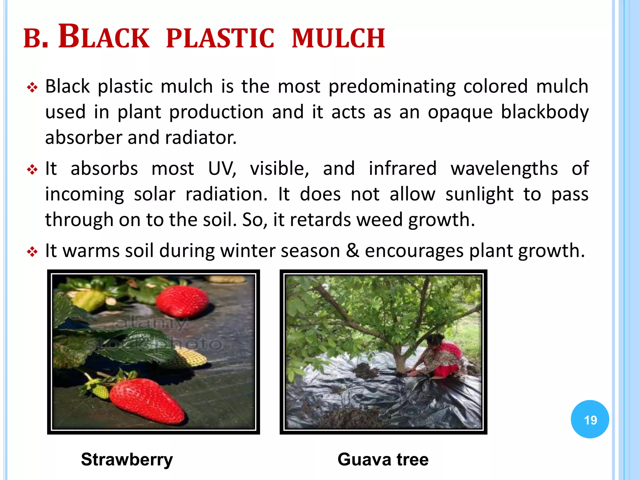 Mulching | PDF