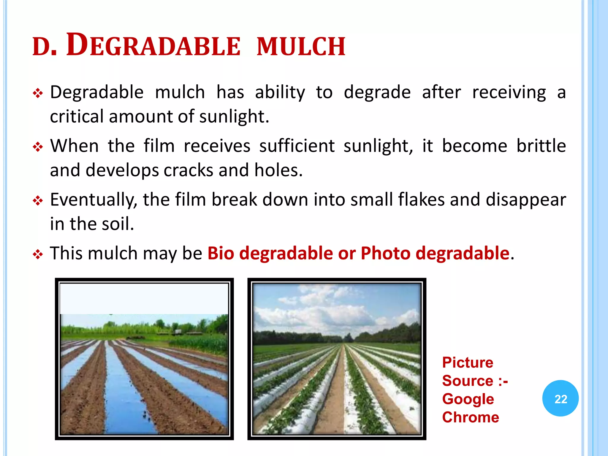 Mulching | PDF