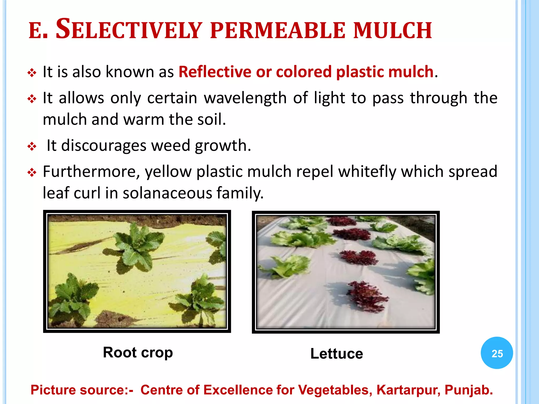 Mulching | PDF