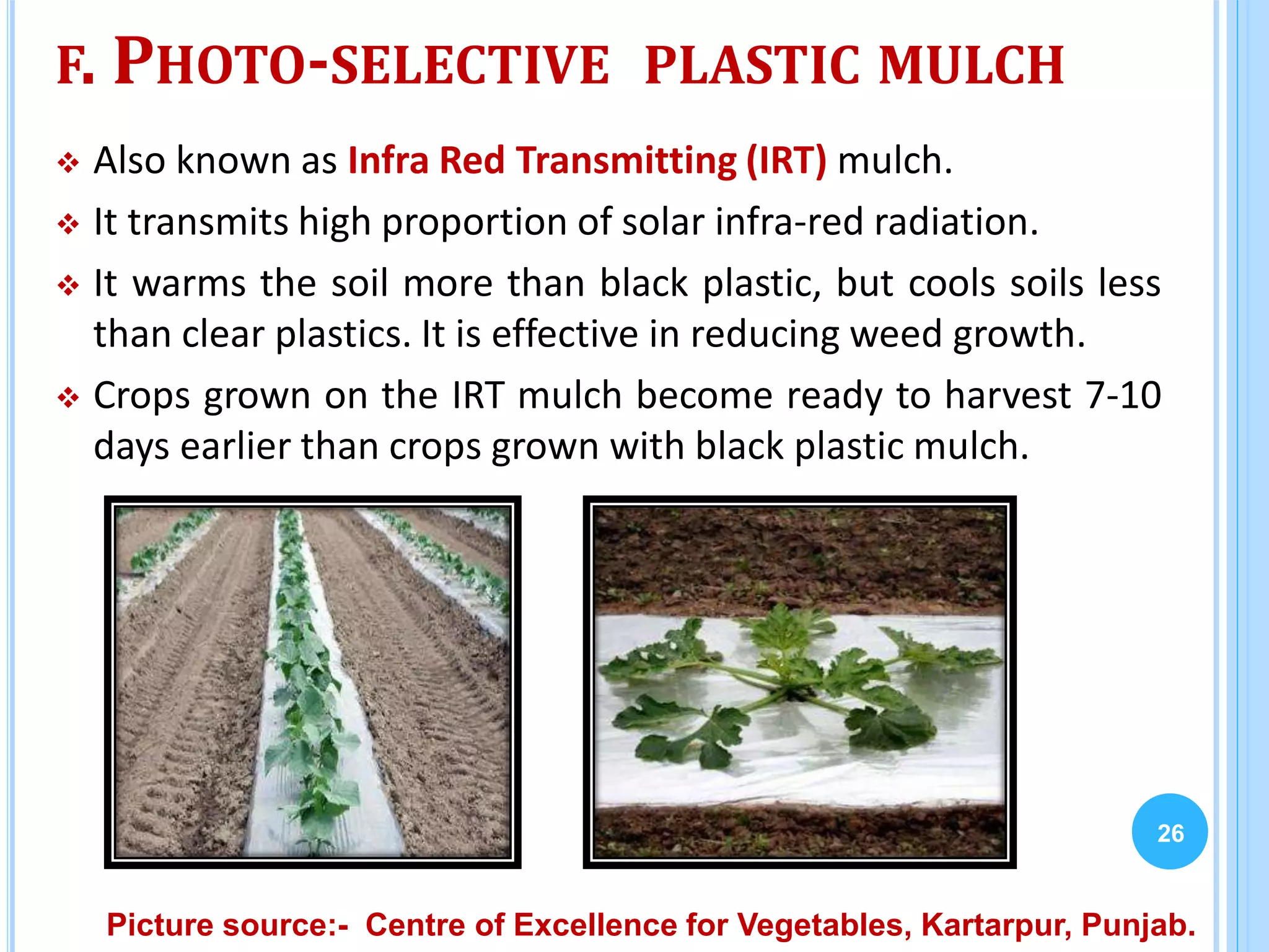 Mulching | PDF