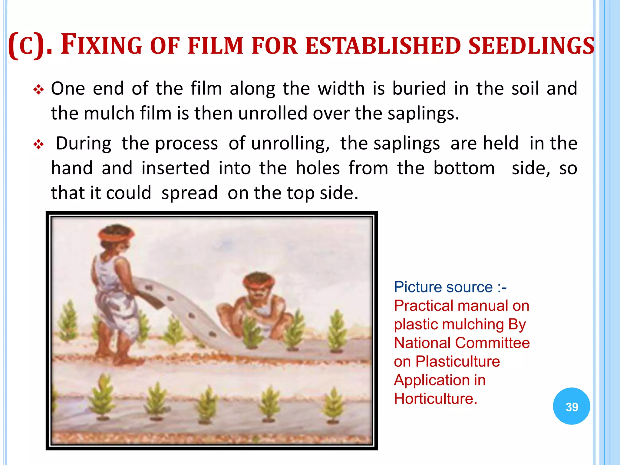 Mulching | PDF