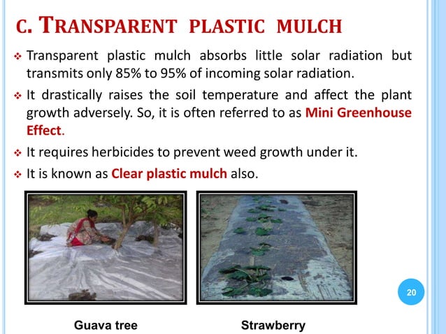 Mulching | PDF