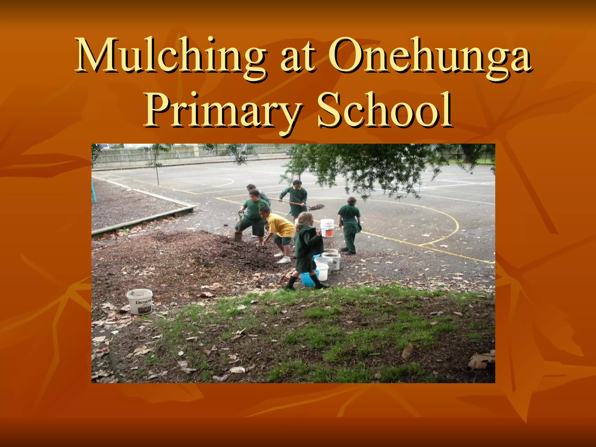 Mulching At Onehunga Primary School | PPT