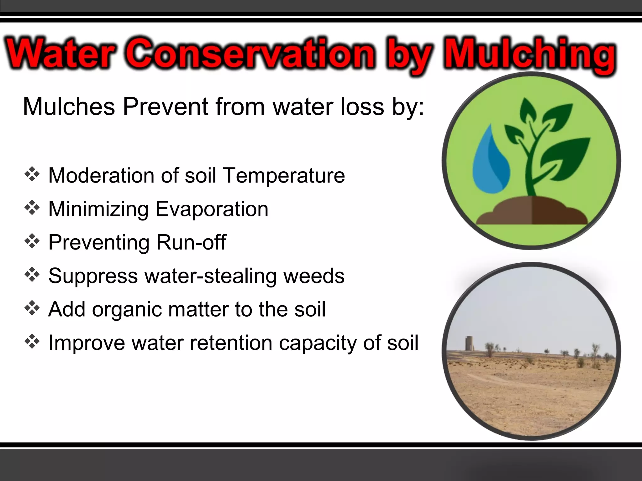 Mulching for soil and Water Conservation | PPS
