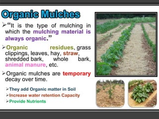 Mulching for soil and Water Conservation | PPS
