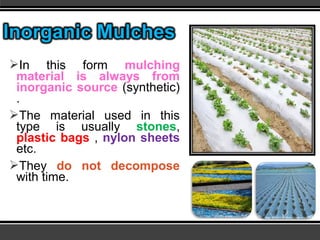 Mulching for soil and Water Conservation | PPS
