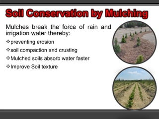 Soil Conservation Methods Mulching