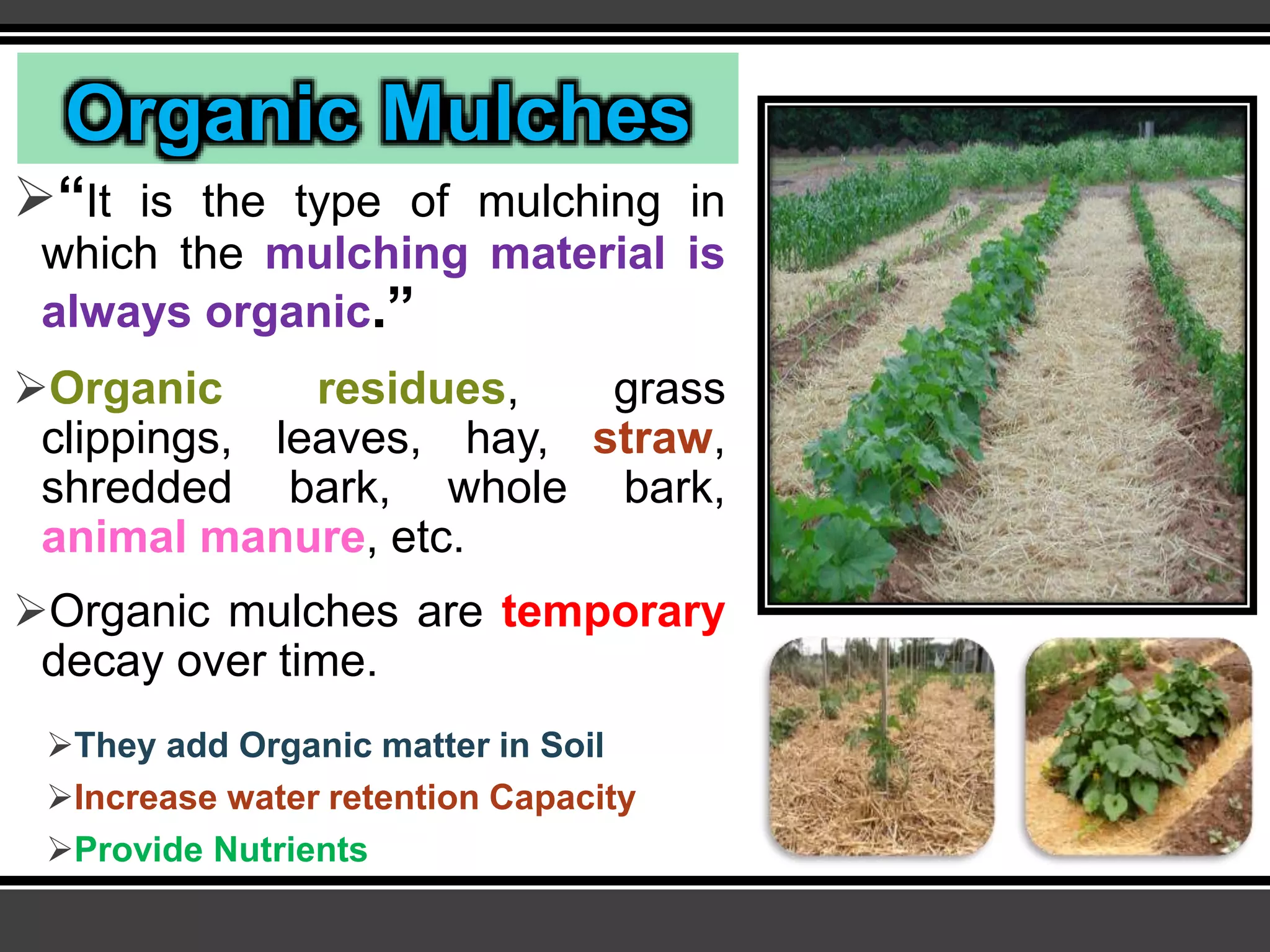 Mulching for soil & water | PPTX