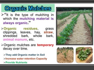 Mulching for soil & water | PPTX