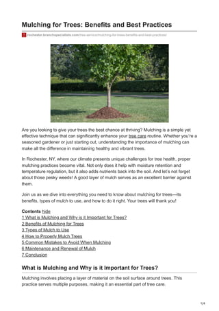 Mulching for Trees Benefits and Best Practices.pdf
