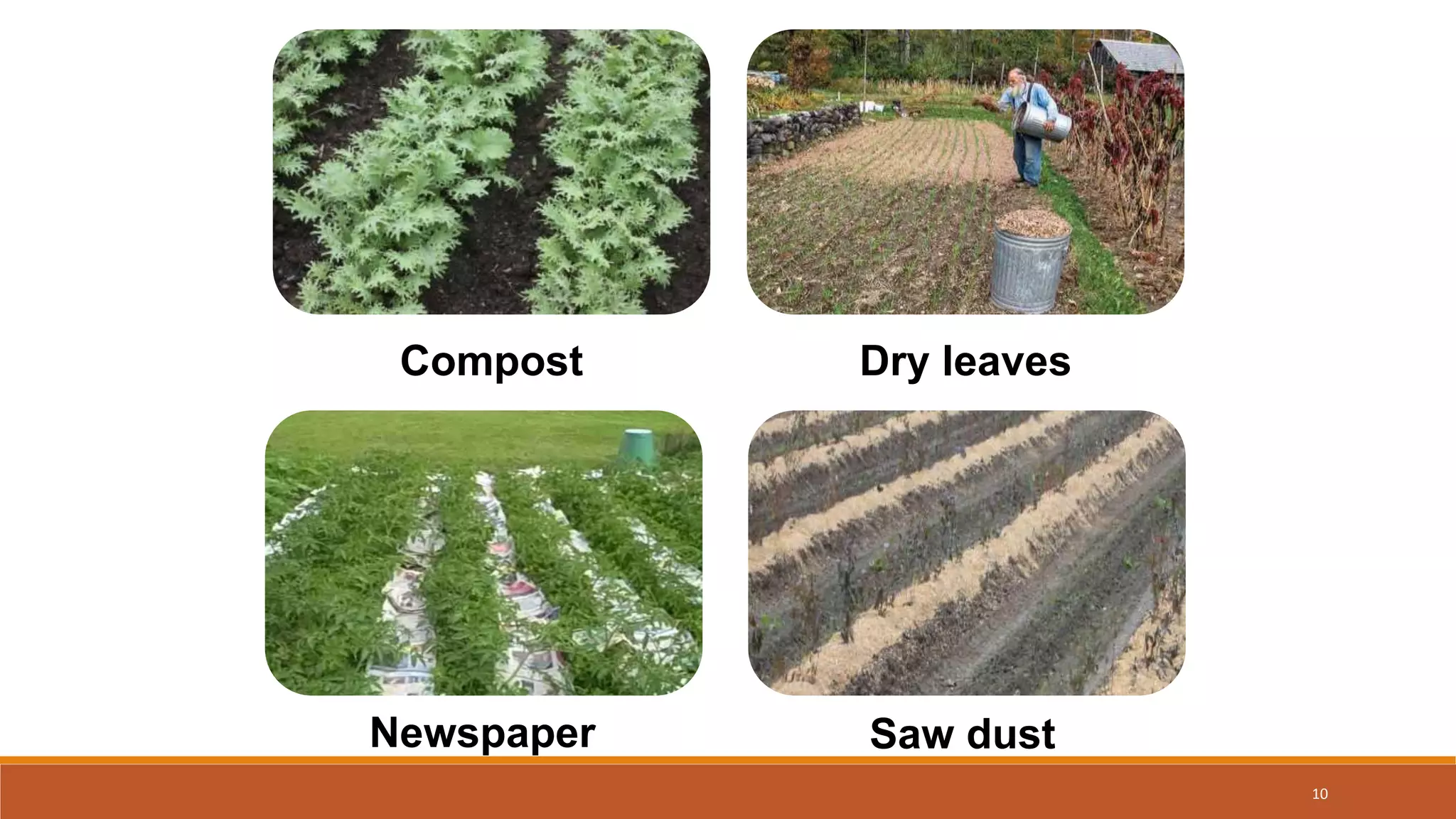 Mulching ppt | PPTX