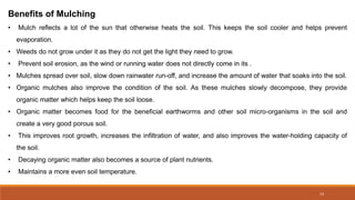 Mulching ppt | PPTX