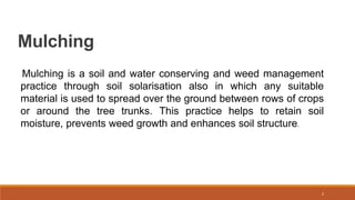 Mulching ppt | PPTX