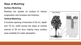 Mulching ppt | PPTX