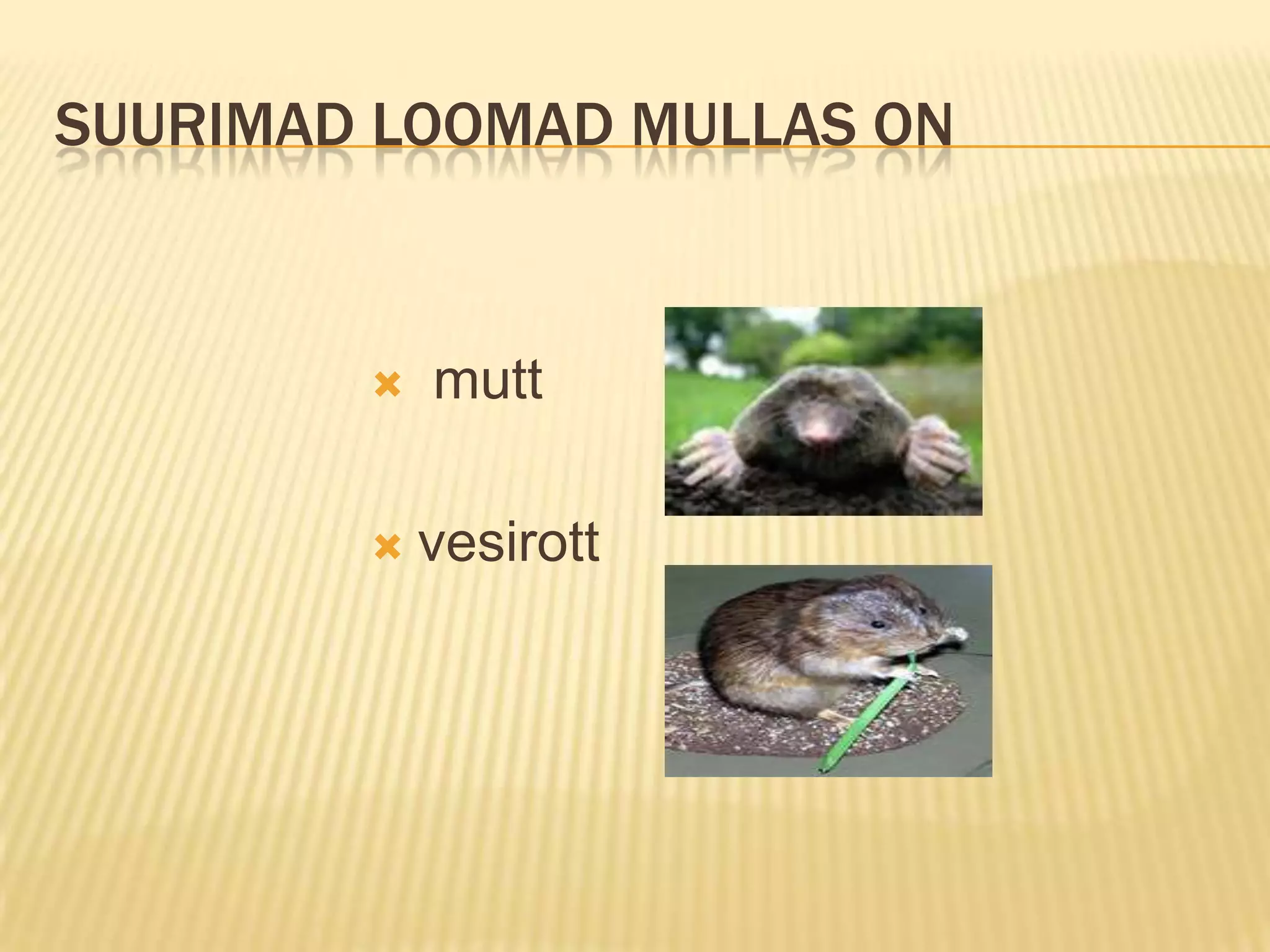 Muld elukeskkonnana piltidega | PPT