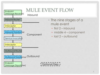 Mule | PPT