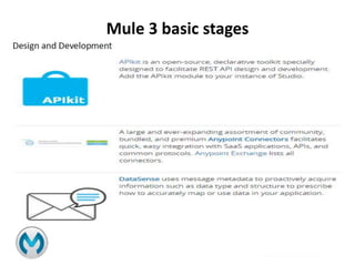 Mule Introduction | PPT