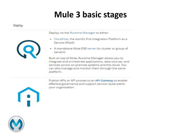 Mule Introduction | PPT