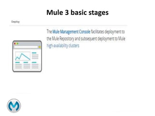 Mule Introduction | PPT