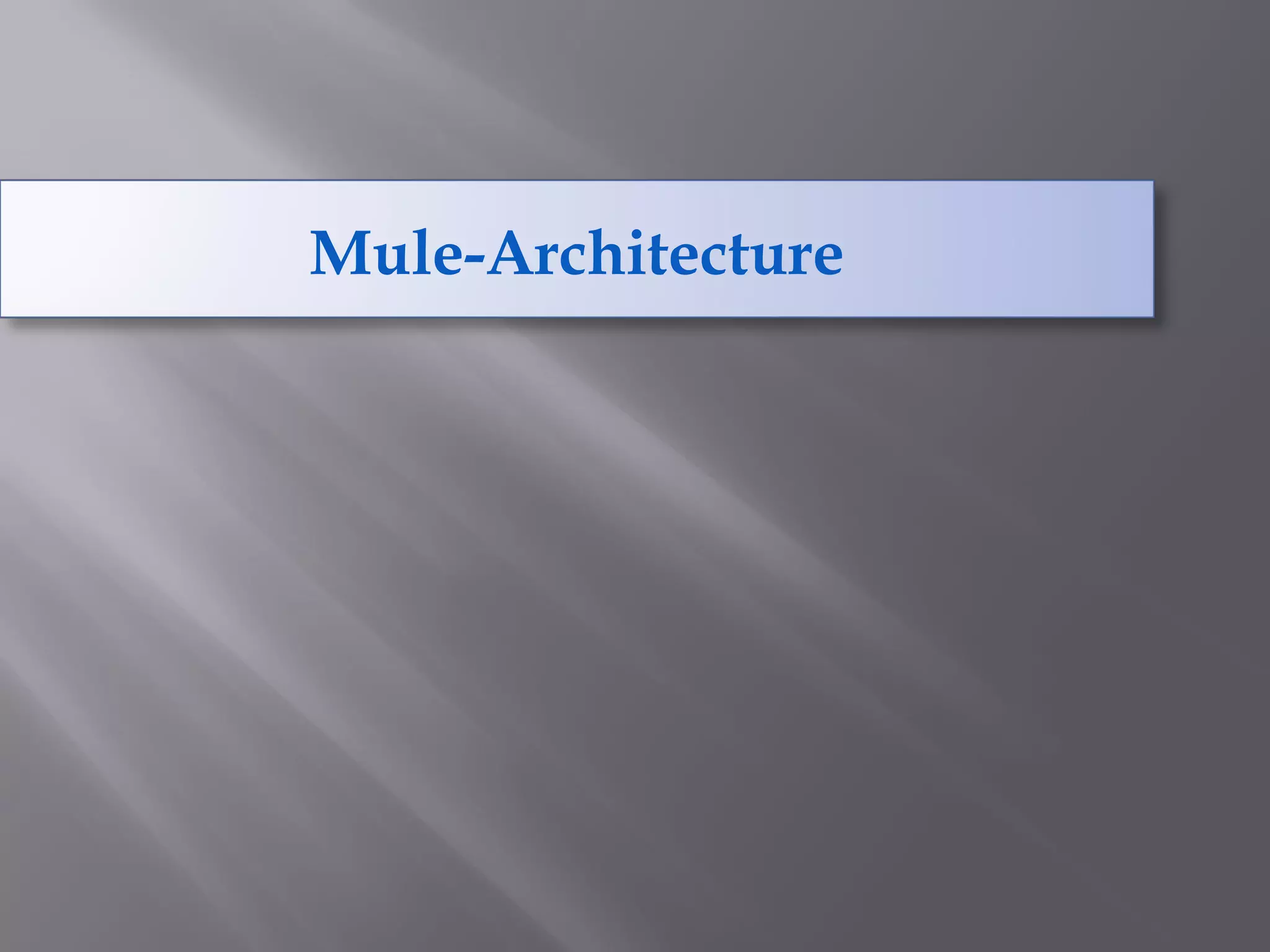 Mule architecture | PPT