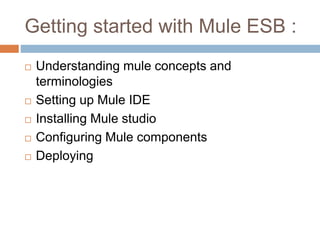 Mule - beginners guide | PPTX