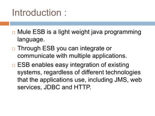 Mule - beginners guide | PPTX