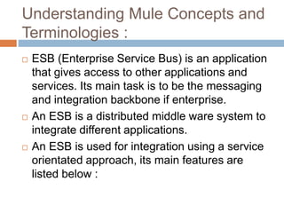 Mule - beginners guide | PPTX