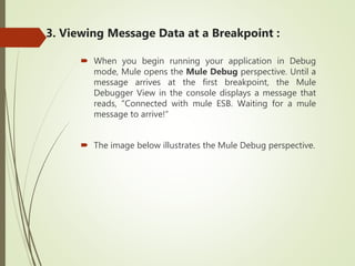 Mule debugging | PPT