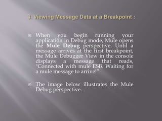 Mule debugging-sample | PPT