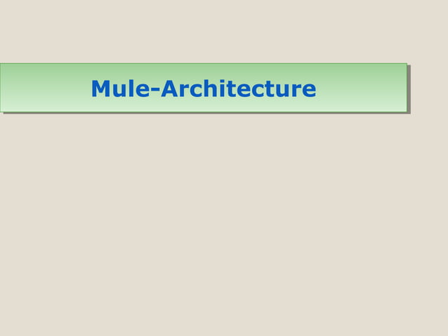 Mule esb-architecture | PPT