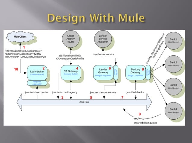 Mule execution | PPT