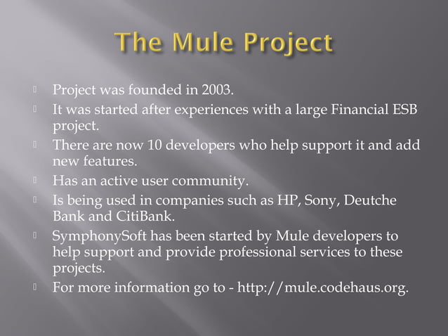 Mule execution | PPT