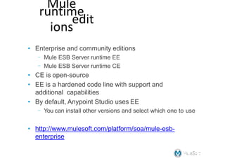 Mule integration-application | PPTX | Cloud Computing | Internet