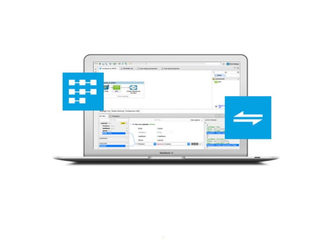 Mule integration solutions | PPT