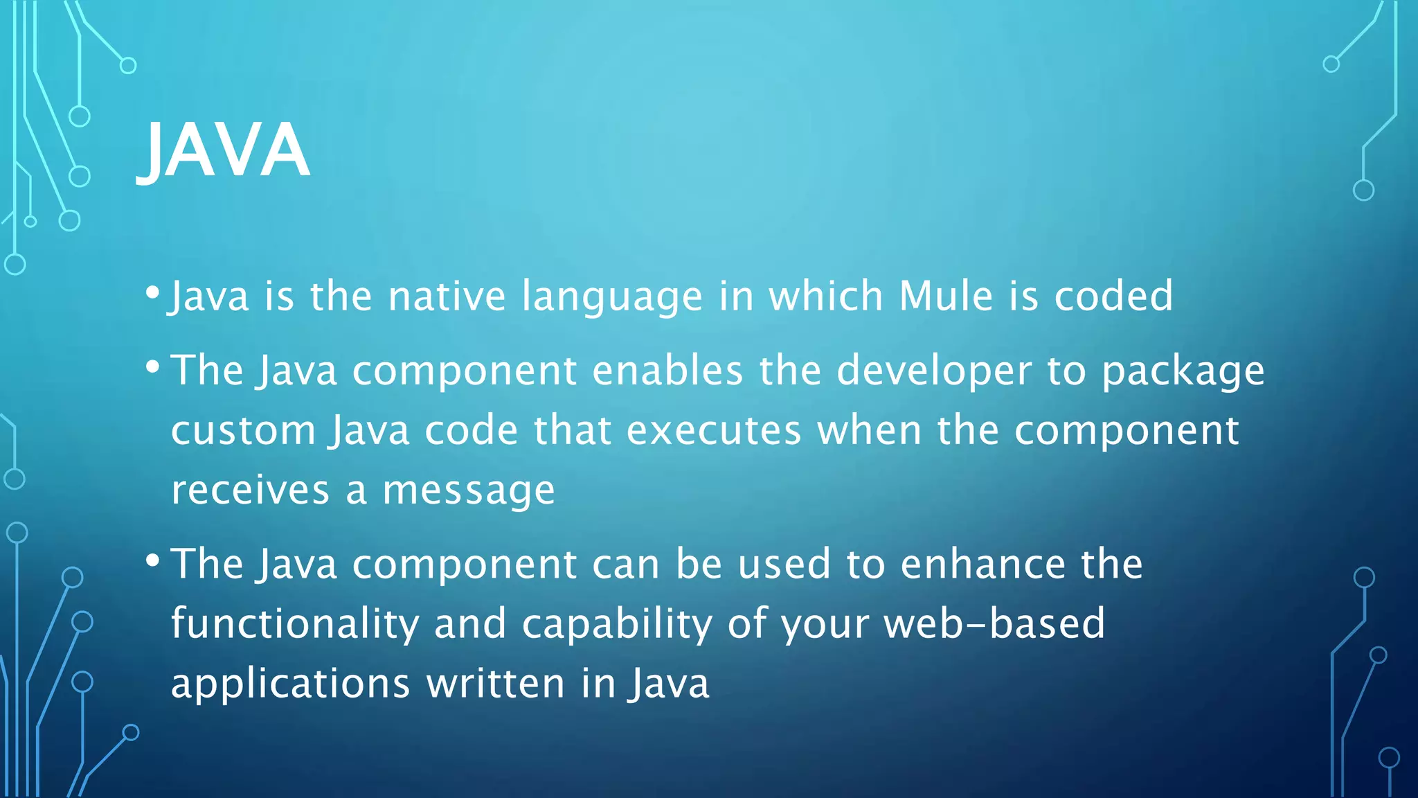 Mule: Java Transformer | PPT