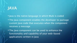 Mule: Java Transformer | PPT