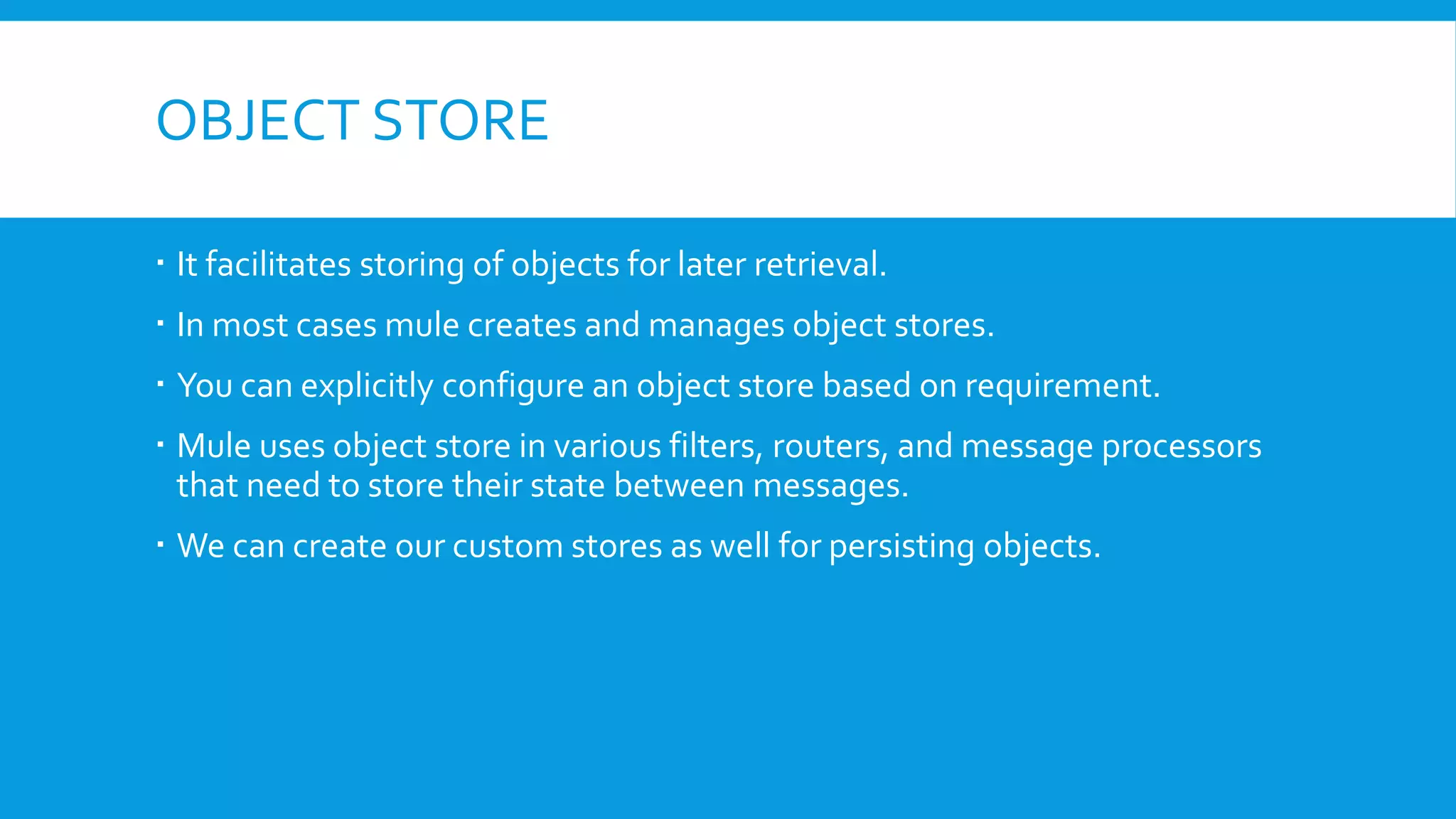 Mule Object Store Pptx Data Storage And Warehousing Computing