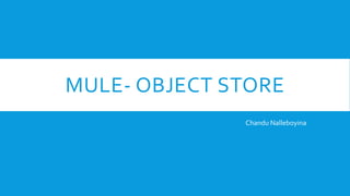 Mule object store | PPTX | Data Storage and Warehousing | Computing