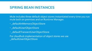 Mule object store | PPTX | Data Storage and Warehousing | Computing