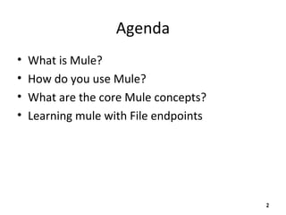 Mule overview | PPT