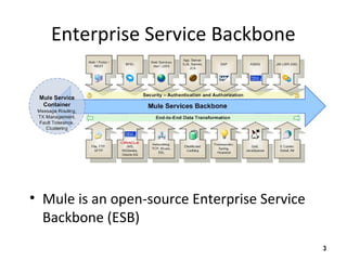 Mule overview | PPT