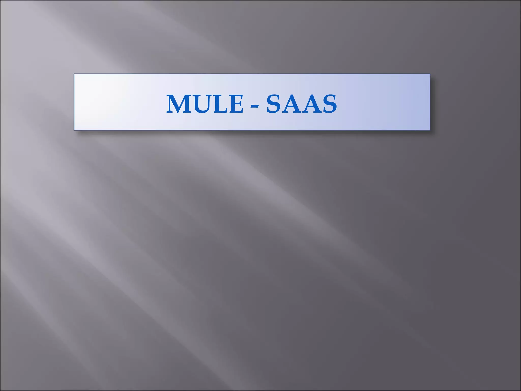 Mule saas | PPT