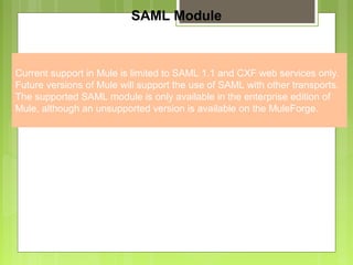 Mule SAML | PPT