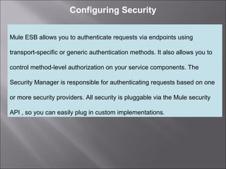 Mule security | PPT