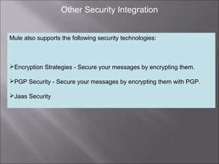 Mule security | PPT