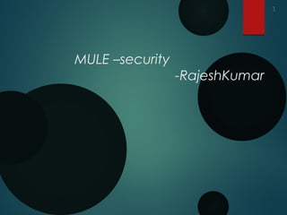 Mule security | PPT