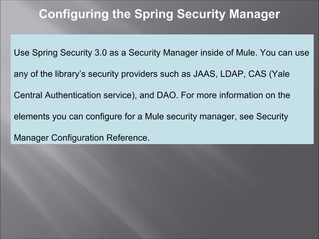 Mule security - spring security manager | PPT