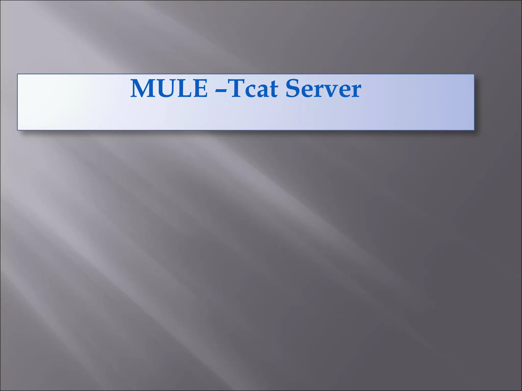 Mule Tcat server | PPT