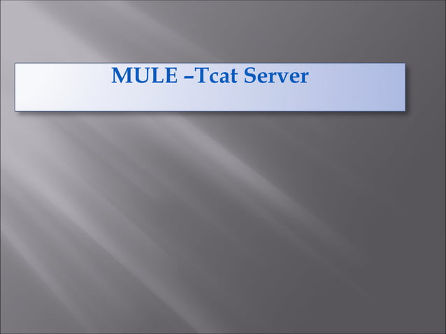 Mule Tcat server | PPT | Computing | Technology & Computing